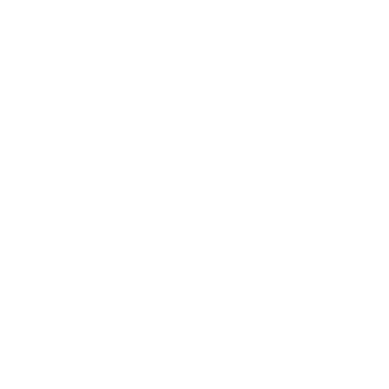 Apt 300
